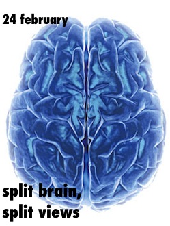 SPLIT BRAIN, SPLIT VIEWS – DEBATING IAIN MCGILCHRIST | Pandaemonium