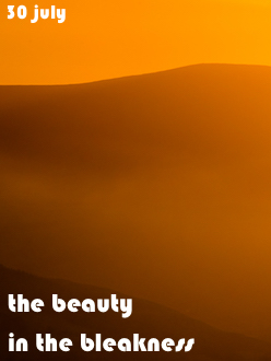 THE BEAUTY IN THE BLEAKNESS | Pandaemonium