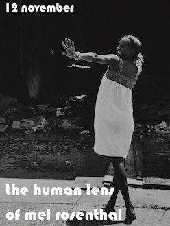 THE HUMAN LENS OF MEL ROSENTHAL | Pandaemonium